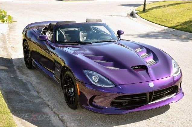 Carr | Cars species Wikia | Fandom