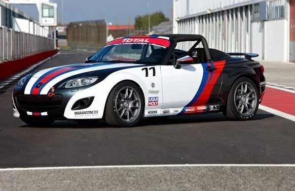 Pyotr | Cars species Wikia | Fandom