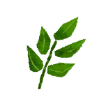 Glow Leaf | Carto Wiki | Fandom