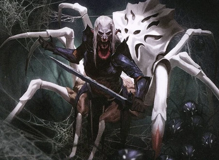 Drider | Cartographer's Guild Wiki | Fandom