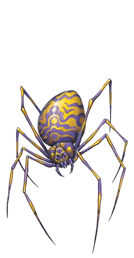 Dream Spider | Cartographer's Guild Wiki | Fandom