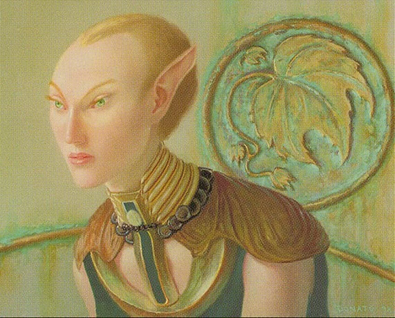 Category:Seer Elf | Cartographer's Guild Wiki | Fandom