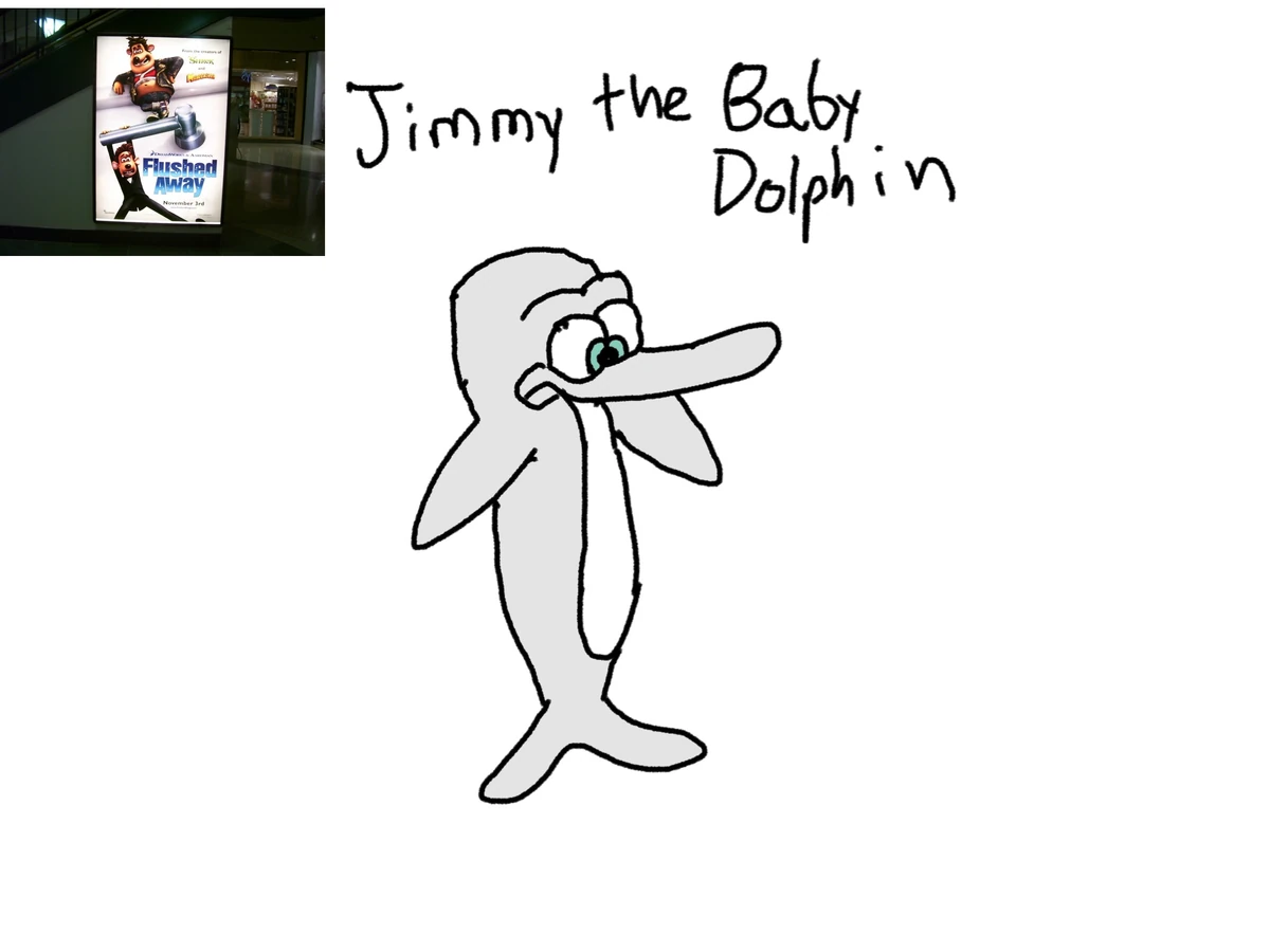 Jimmy the Baby Dolphin | Cartoon Animals Centre Wiki | Fandom