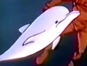 Flip (Captain Fathom) | Cartoon Characters Wiki | Fandom