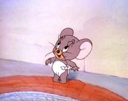 Nibbles Mouse | Cartoon Network City Fanon Wiki | Fandom