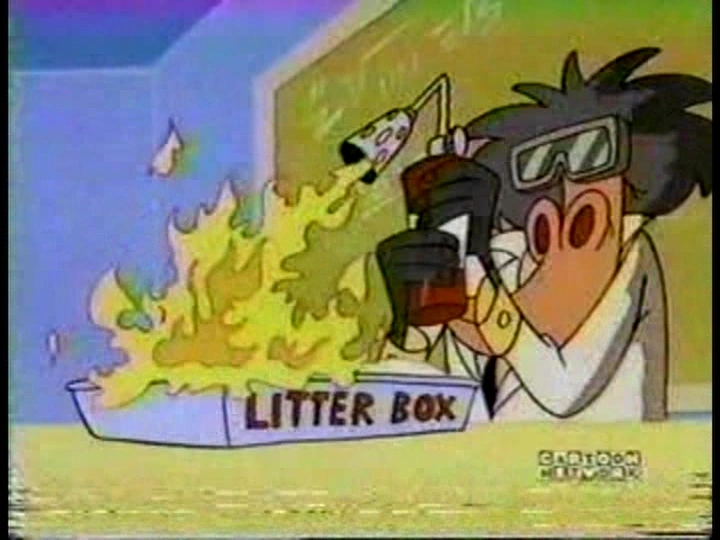 April 1, 1999 | Cartoon Network Wiki | Fandom