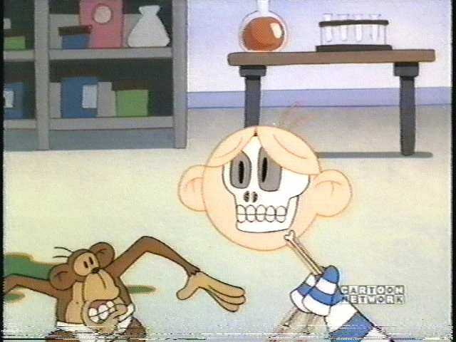November 8, 1998 | Cartoon Network Wiki | Fandom