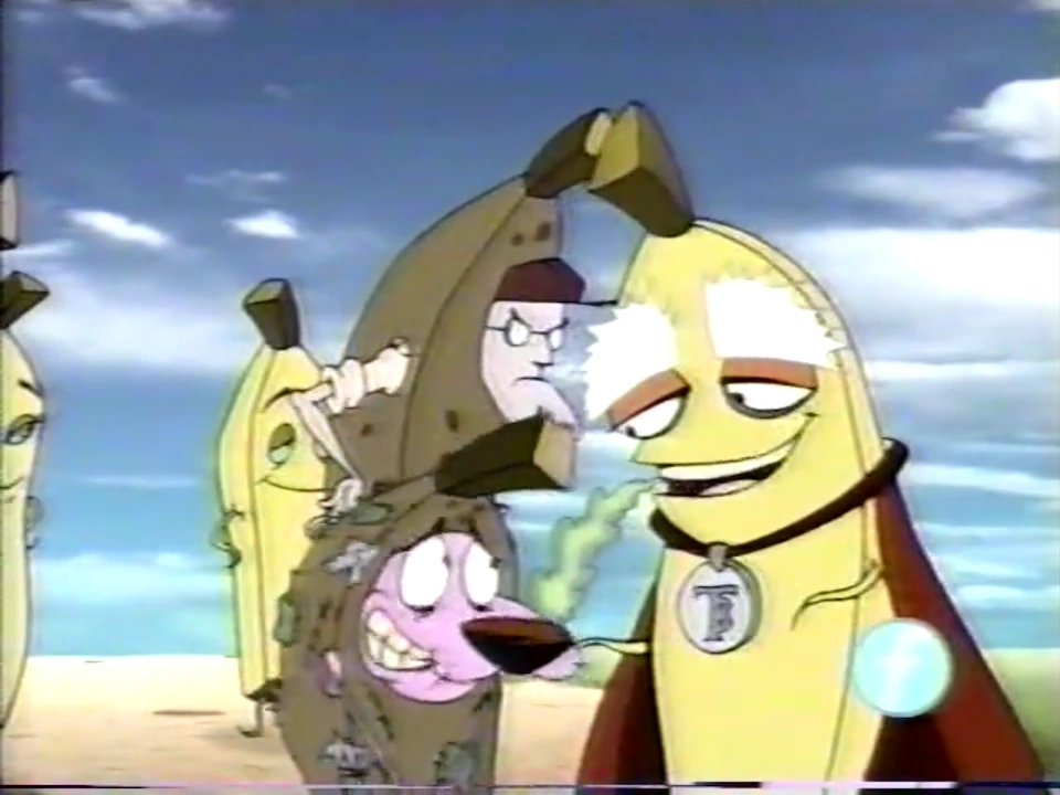February 9, 2001 | Cartoon Network Wiki | Fandom