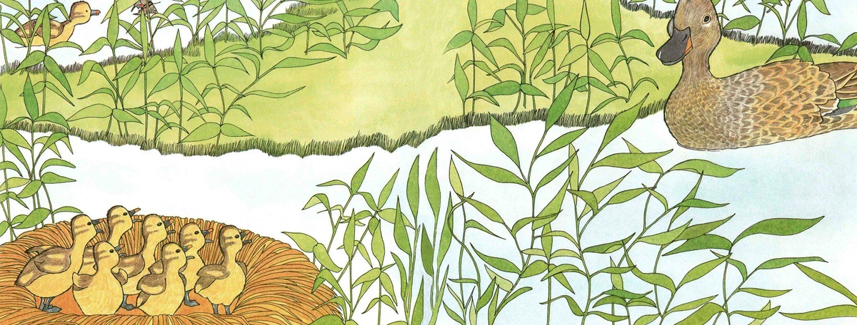 Keep keep keep | Cartoon Network Wiki | Fandom