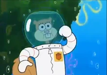 SpongeBob SquarePants | Cartoon Underwater Scenes Wiki | Fandom