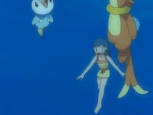 Pokemon | Cartoon Underwater Scenes Wiki | Fandom