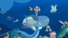 Pokemon | Cartoon Underwater Scenes Wiki | Fandom