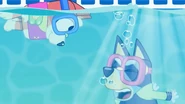 Bluey | Cartoon Underwater Scenes Wiki | Fandom