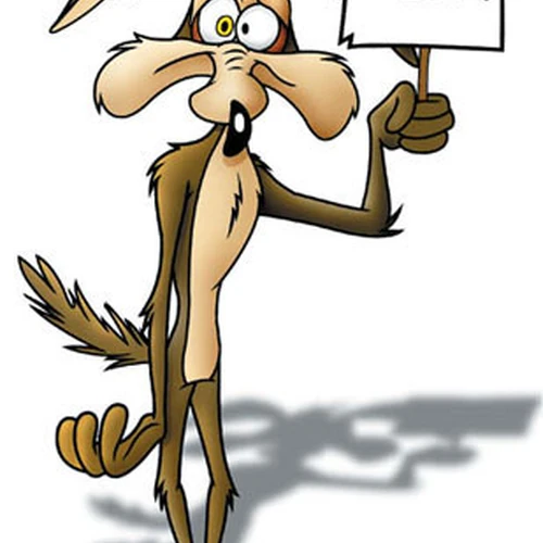 Cartoon Network Coyote Chase