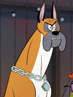 Rocco | Cartoon characters Wiki | Fandom