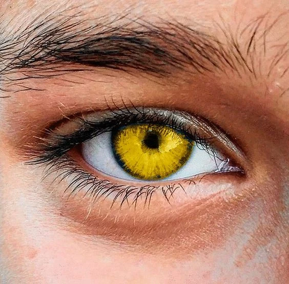 Yellow Eyes