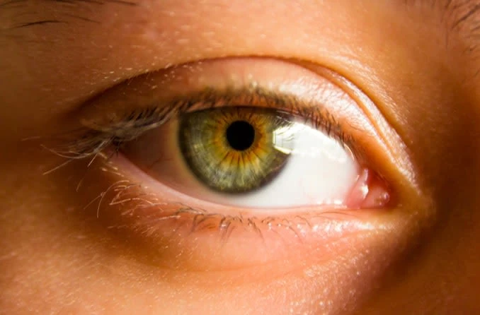 Category:Hazel Eyes | Cartoon characters Wiki | Fandom