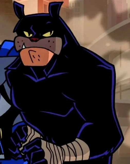 Wildcat (Batman: The Brave and the Bold) | Cartoon characters Wiki | Fandom