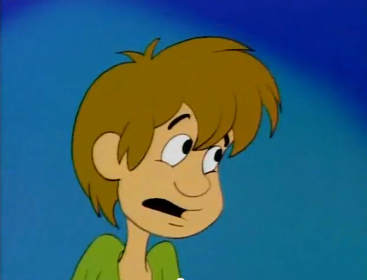 Shaggy Rogers (A Pup Named Scooby-Doo) | Cartoon characters Wiki | Fandom