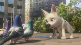 Bolt | Cartoon characters Wiki | Fandom