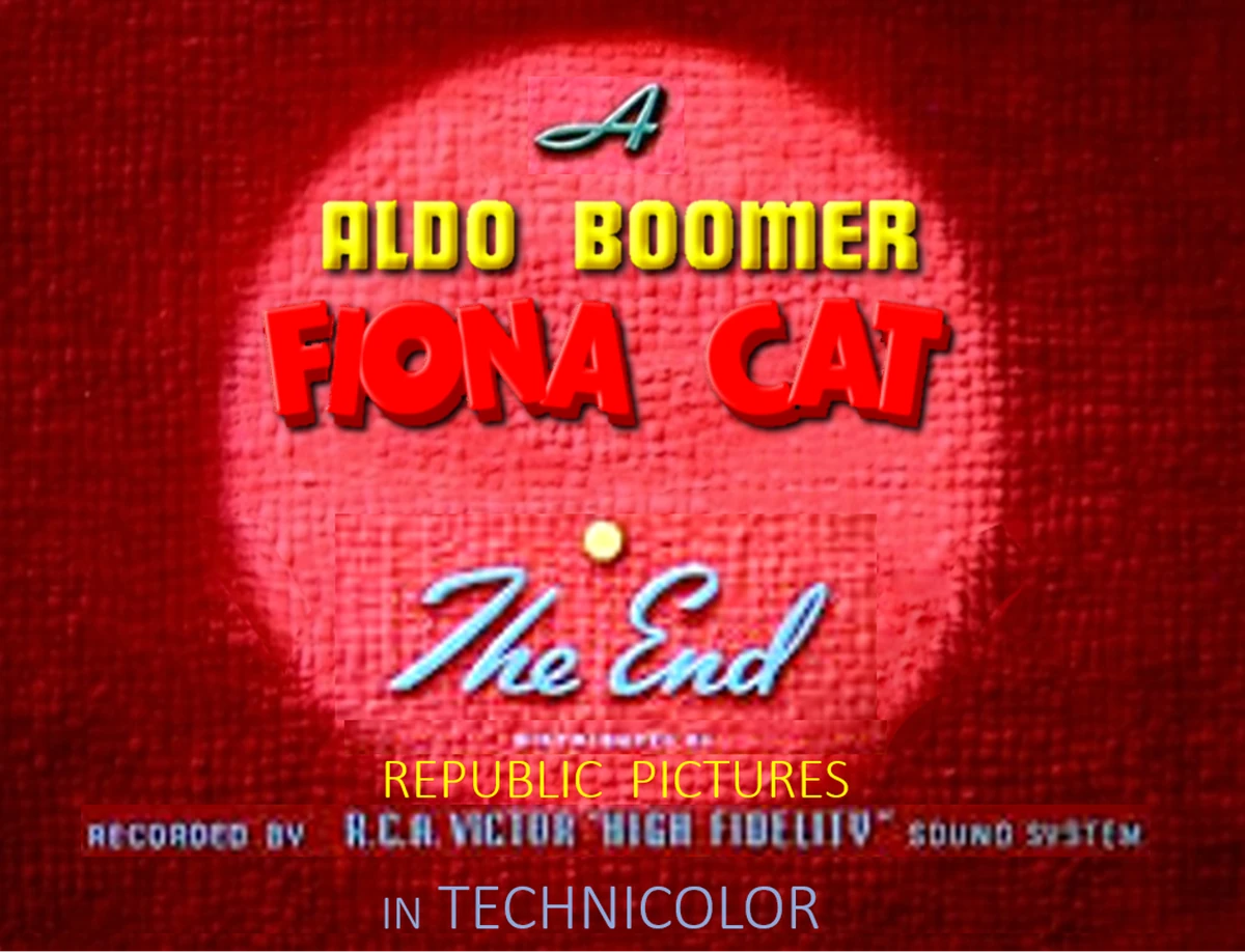 Little Kitty Named Fiona (Fiona Cat) | Cartoonideas Wiki | Fandom