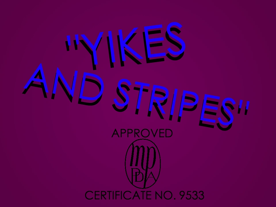 Yikes and Stripes | Cartoonideas Wiki | Fandom