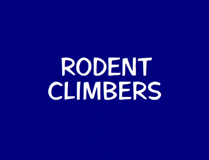 Category:Cartoons with written by Tedd Pierce | Cartoonideas Wiki | Fandom