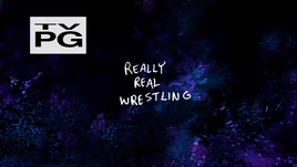 Really Real Wrestling | The Cartoon Network Wiki | Fandom