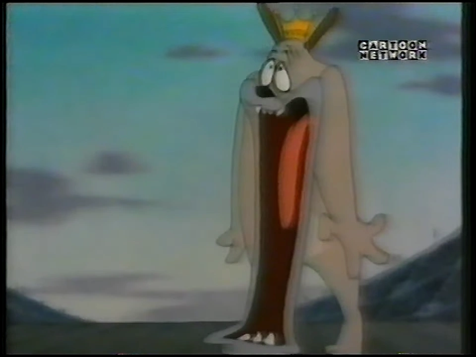 Cartoon Network (Poland) Screen Bug | The Cartoon Network Wiki | Fandom