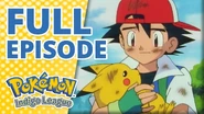 Pokémon | The Cartoon Network Wiki | Fandom