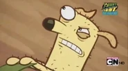 Almost Naked Animals | The Cartoon Network Wiki | Fandom
