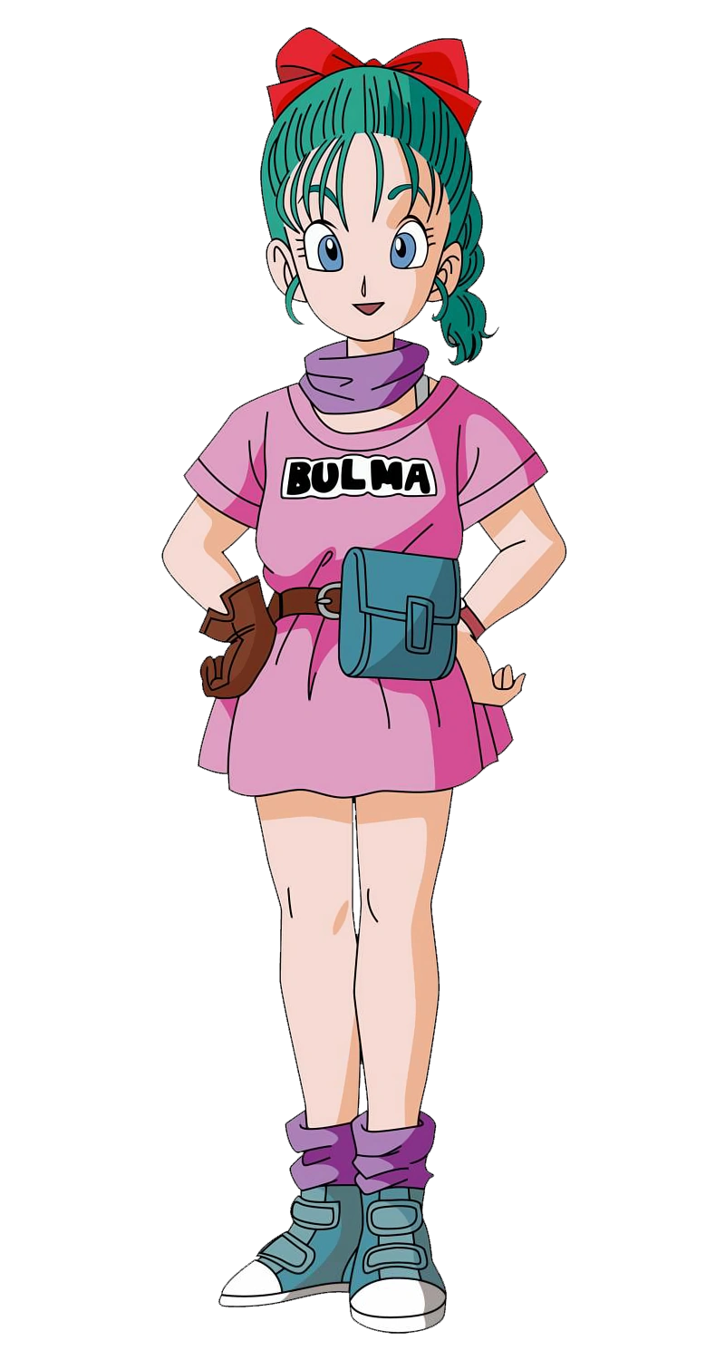 Bulma Brief | Cartoon Network Wiki | Fandom