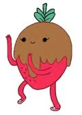 Chocoberry | CN Wiki | Fandom