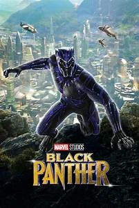 Black Panther (MCU) | Cartoons Wiki | Fandom