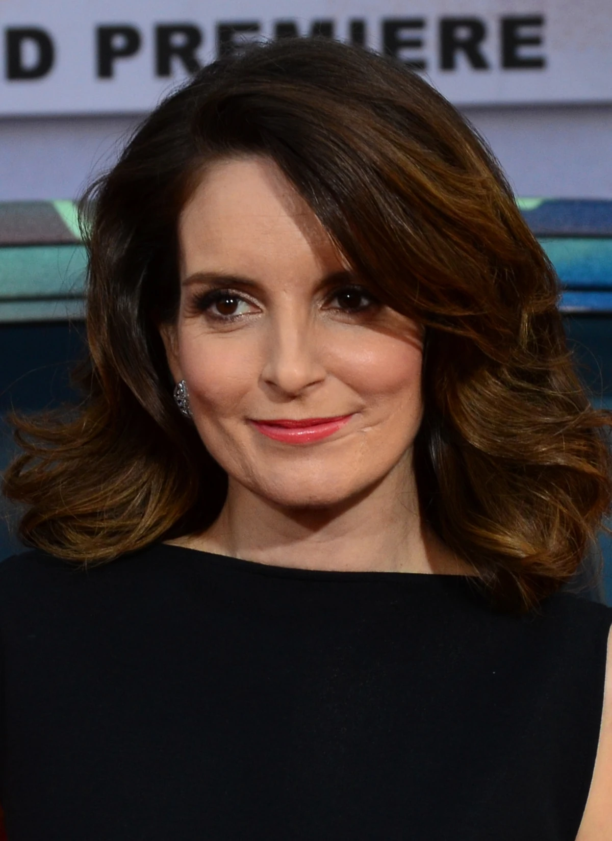 Tina Fey | Animation Wiki | Fandom