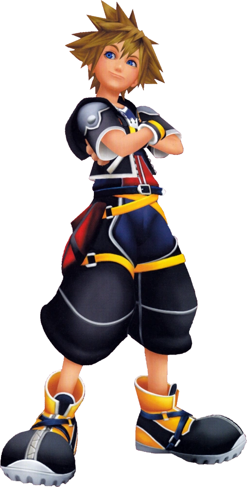 Sora | Cartoons and Fiction Wiki | Fandom