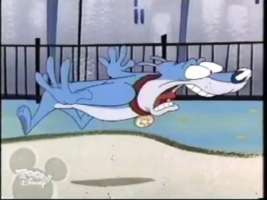 The Shnookums and Meat Funny Cartoon Show | Cartoonwildtakes Wiki | Fandom