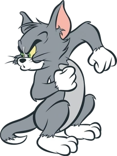 Tom | Wiki Cartoour | Fandom