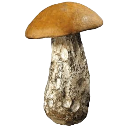 fungus | Carts nextbots Wiki | Fandom