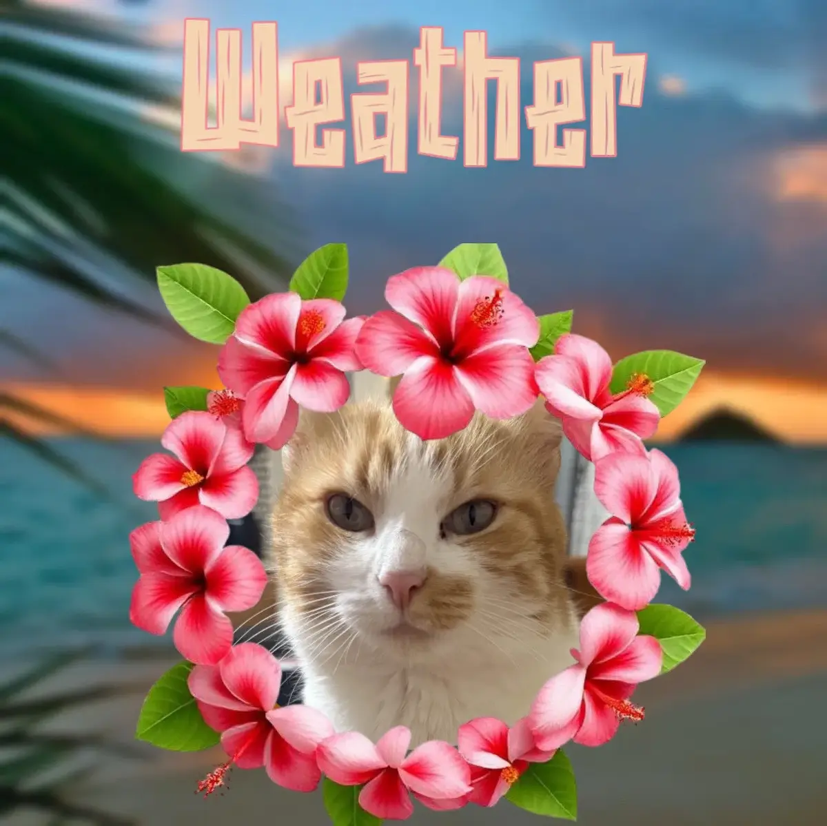 Weather | Caryniver Wiki | Fandom