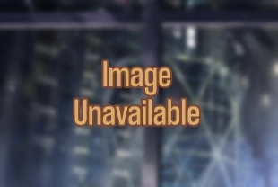 Chen Yan | Case File Compendium Wiki | Fandom