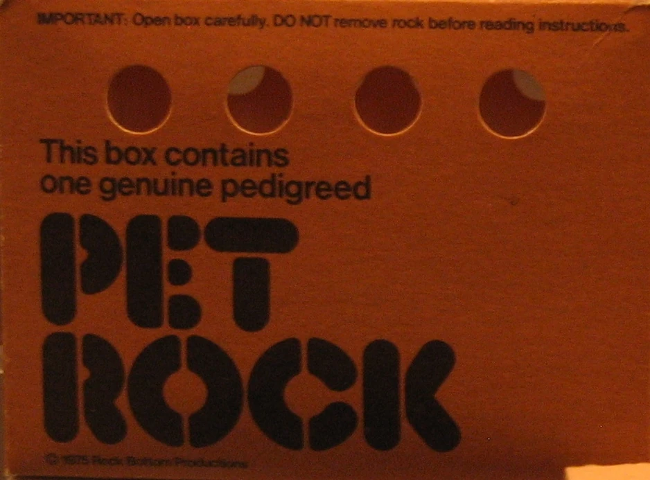 Pet Rock | Caseoh Wiki | Fandom