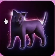 Kitty | Caseoh Wiki | Fandom