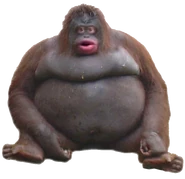 ENEMIES | CaseOh's Basics The Official Wiki | Fandom