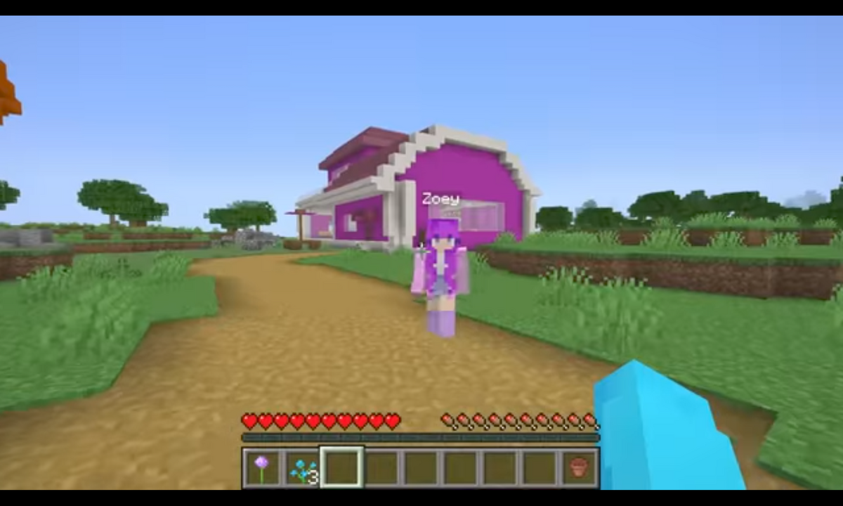 Zoey's Candy Shop | Cash & Nico Wiki | Fandom