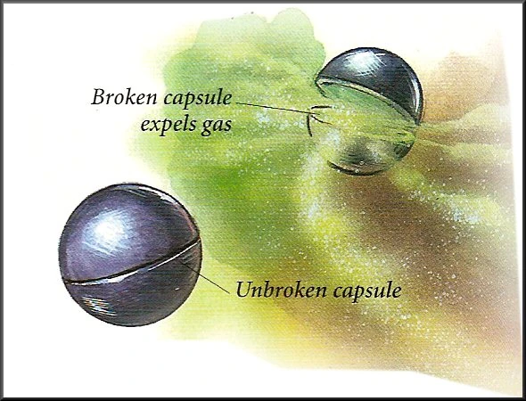 Gas Pellets | Cass Cain Mainframe Wiki | Fandom