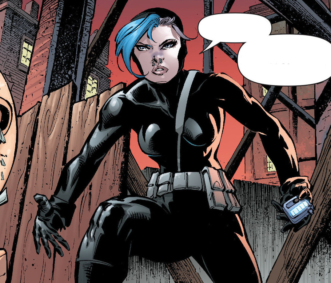 Bluebird Uniform Cass Cain Mainframe Wiki Fandom