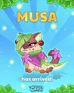 Musa | Castle Cats Wiki | Fandom