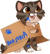 Bob | Castle Cats Wiki | Fandom