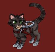 Conan | Castle Cats Wiki | Fandom